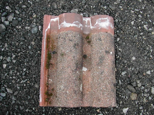 Marley Bold Roll concrete tile | Ben's Tiles and Reclamation Ltd